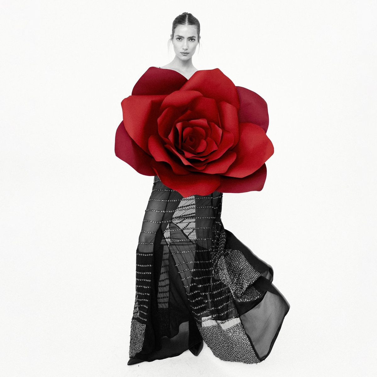 Ceres Management - Valentina Vairo